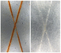 Zinga – Zinga West